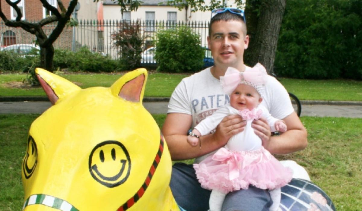 Urban art horse project launched in Limerick park - Limerick Live