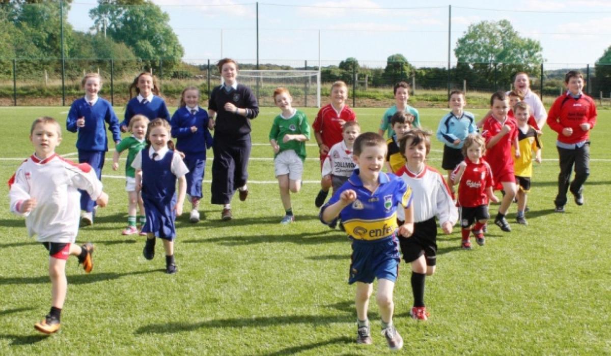 Mighty Quinn to open Kilcornan pitch - Limerick Live