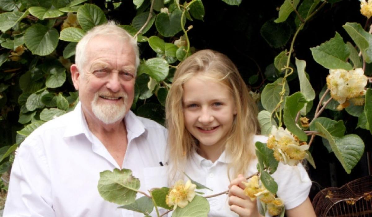 Kiwis, lemons, peaches, oranges thriving in Limerick - Limerick Live