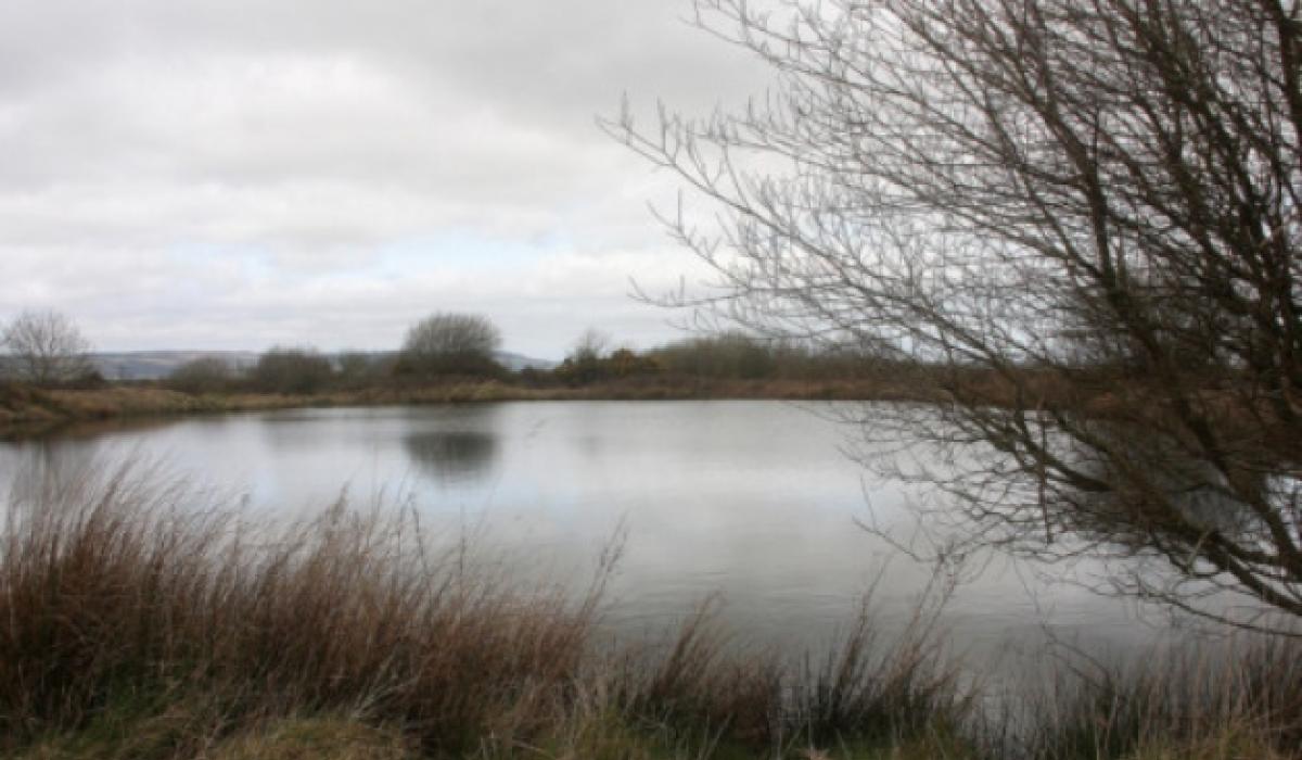 West Limerick parish hopes to turn old factory ponds into wildlife park ...