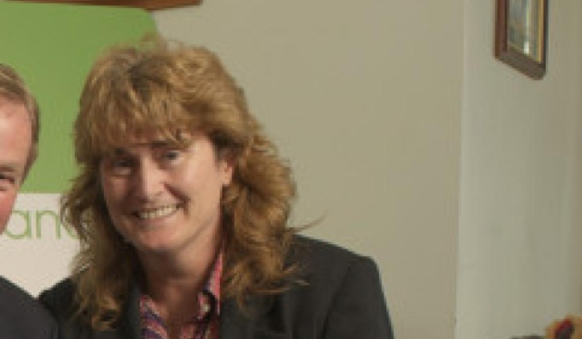 New housing scheme to be trialled in Limerick - Limerick Live