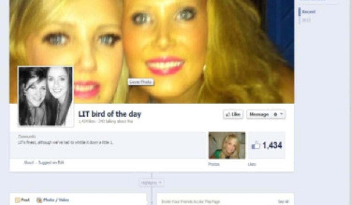 Limerick ‘bird of the day’ page has wings clipped - Limerick Live