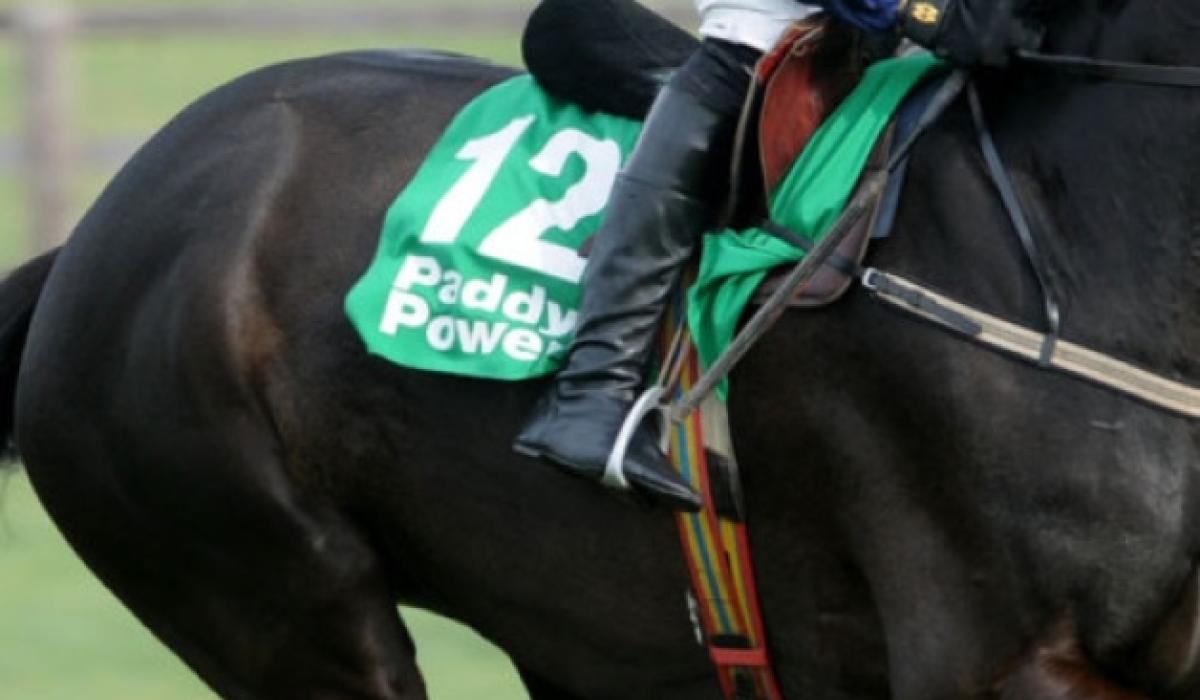 Paddy Power Column: Seabass to be the catch of the day in Aintree ...