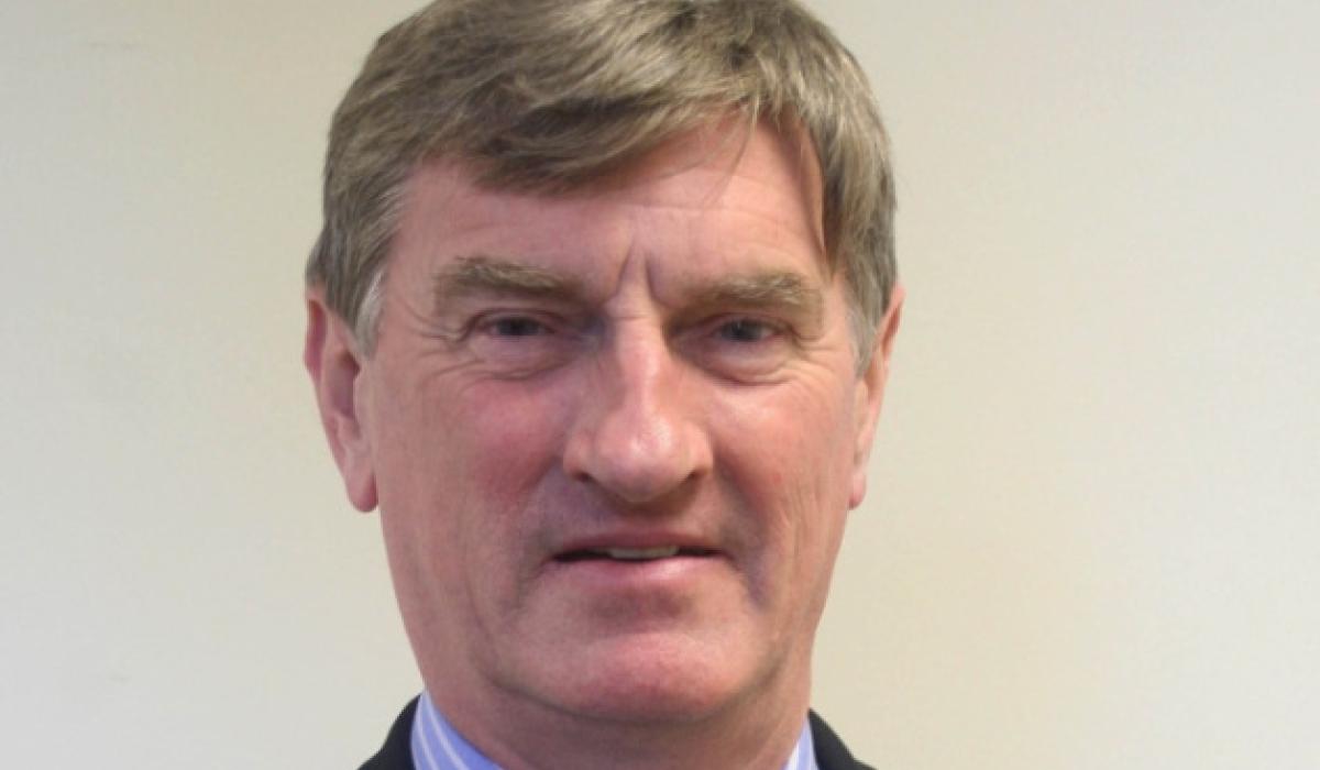 Opening of new businesses gives boost to County Limerick town ...