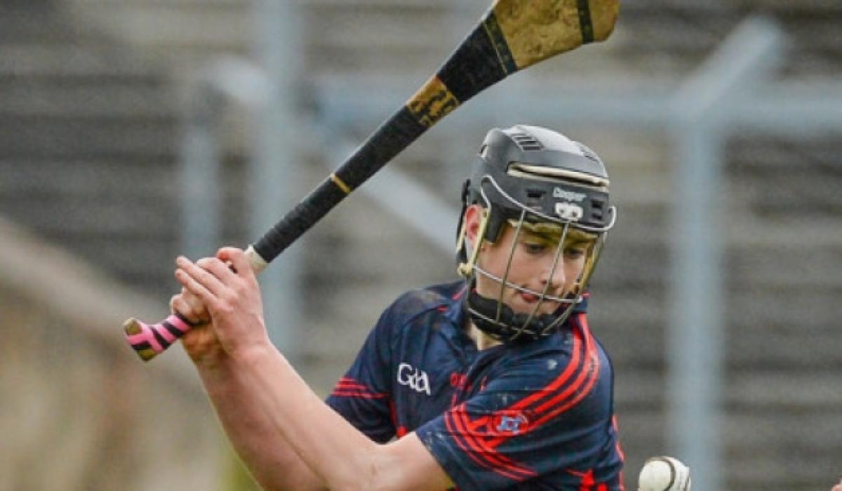 Another big Limerick Harty Cup derby - Castletroy v Doon - Limerick Live