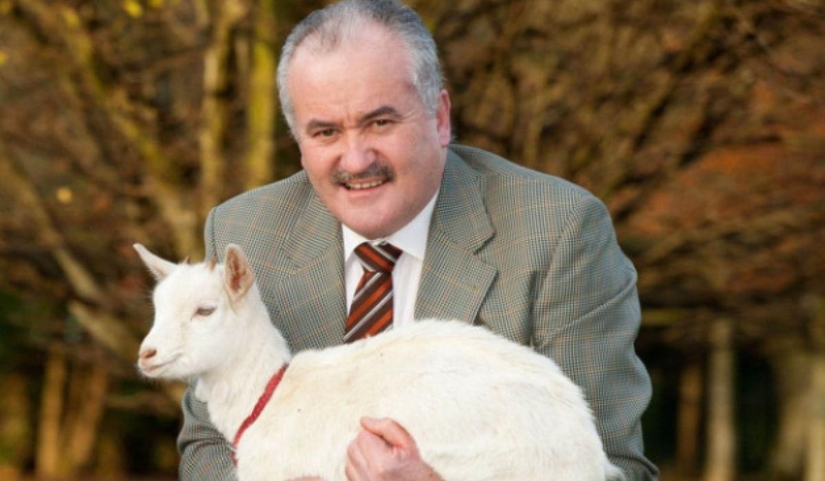 Limerick charity Bóthar forced to cut one third of staff - Limerick Live