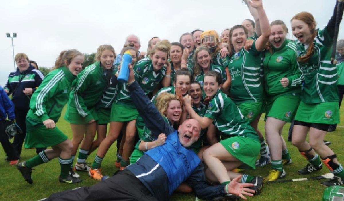 All Ireland camogie glory for Limerick juniors - Limerick Live