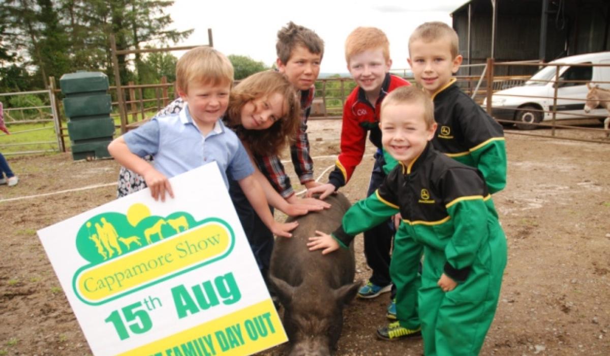 Captivating Show in Cappamore is a cert after 61 years - Limerick Live
