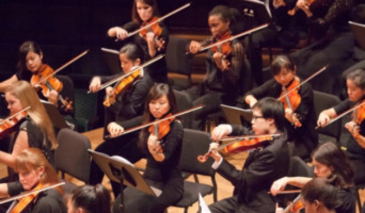 Top class bill of first shows at the University Concert Hall - Limerick ...