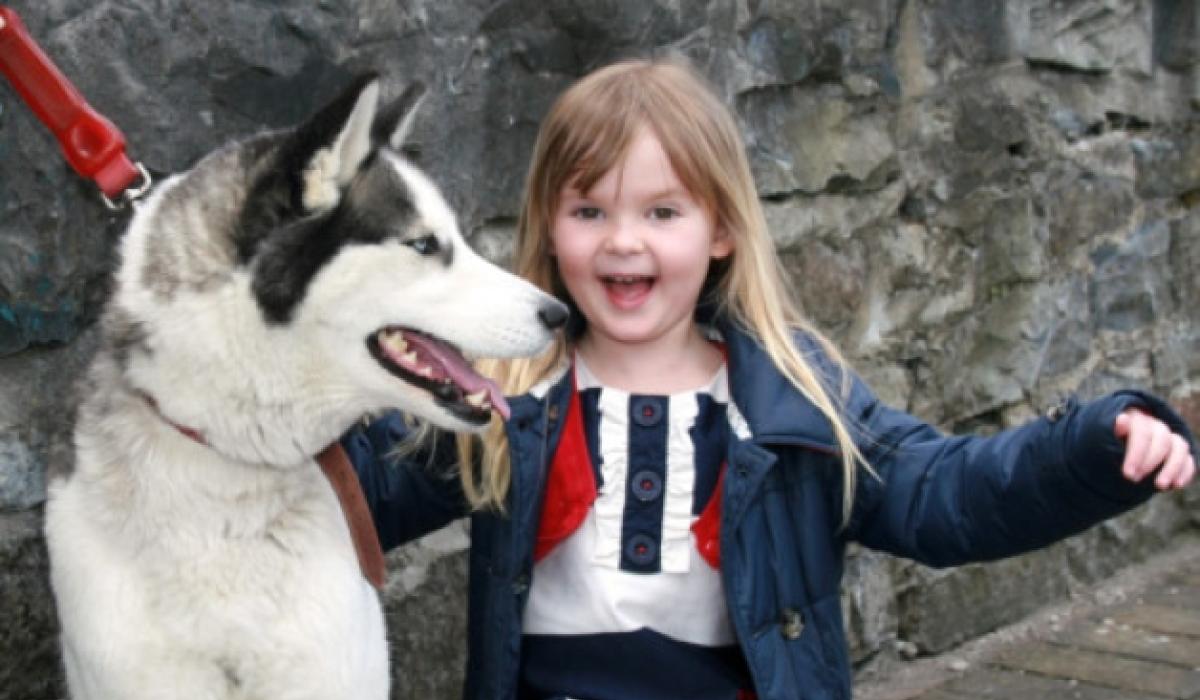 LSPCA launches photo competition - Limerick Live