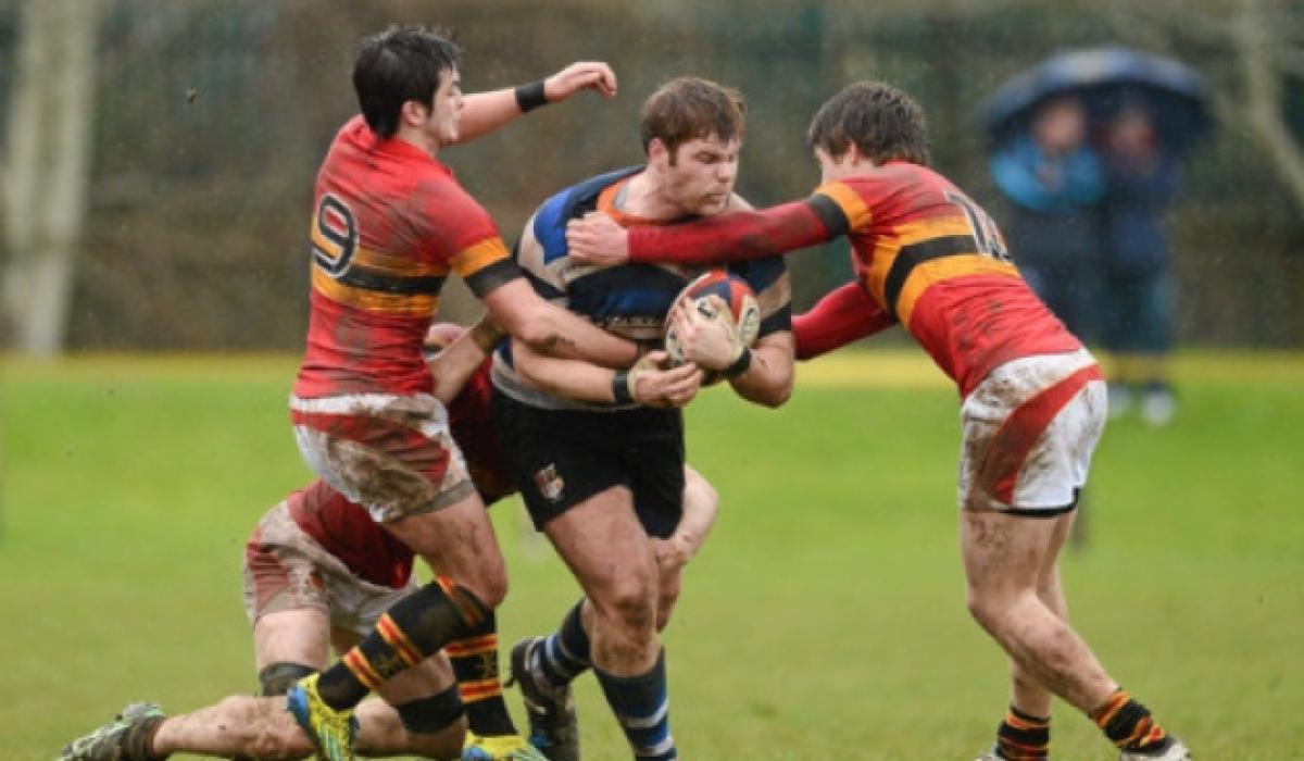 Schools Rugby - Crescent target final spot in senior cup - Limerick Live