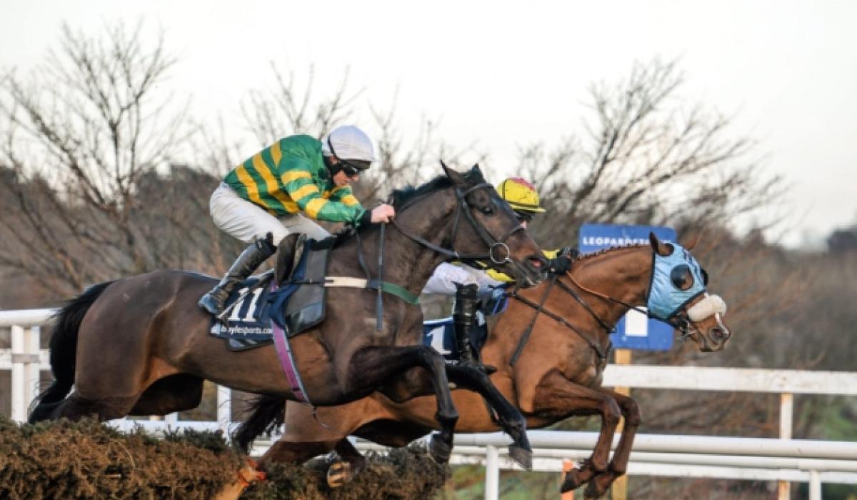 Limerick horse named after Springsteen’s assistant wins prestigious ...