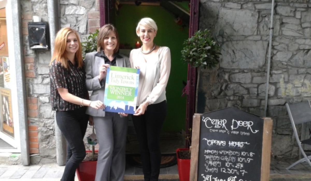 Unique Limerick cafe is the latest Tidy Towns winner - Limerick Live