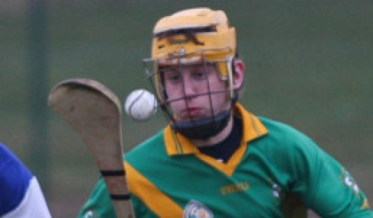 Limerick minor hurling final preview - Ahane v Na Piarsaigh - Limerick Live