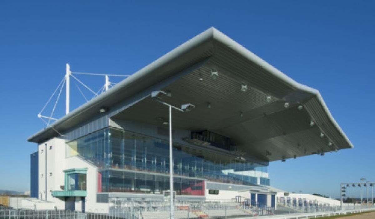 Limerick Greyhound Racing continues under new ‘one person one dog ...