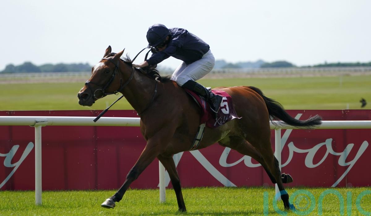 Lily Pond causes more than a ripple at the Curragh - Limerick Live
