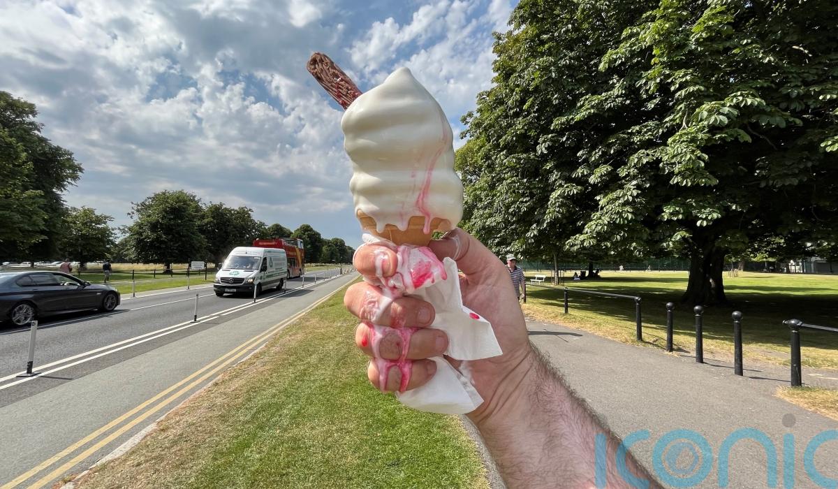 Second highest temperature on record in Ireland - Limerick Live