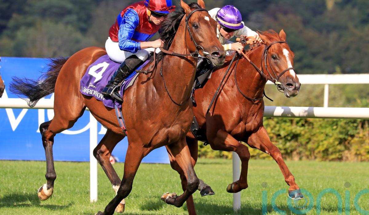 Luxembourg claims Irish Champion Stakes crown, now sights set on Paris ...