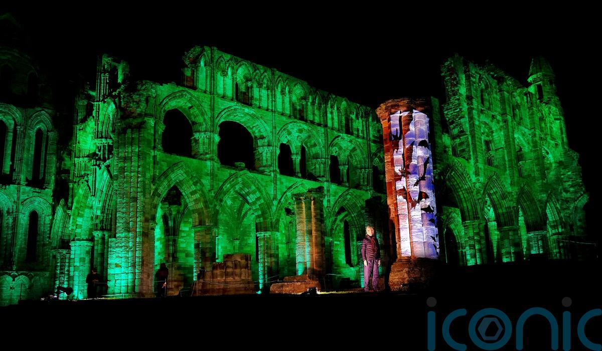 UK landmark lights up with bats to mark 125th anniversary of Irish ...