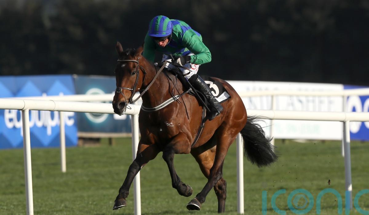 Kilcruit quick off the mark on chasing switch for Willie Mullins - Limerick Live