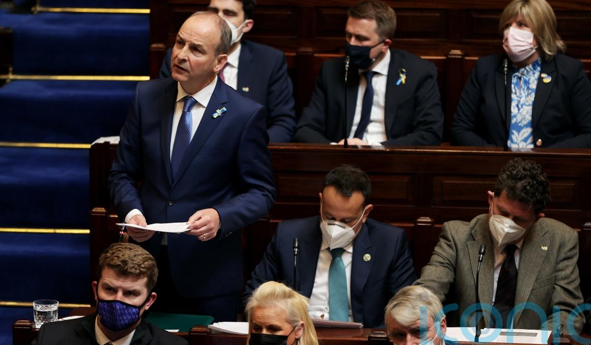 Martin’s Dail comments ‘highly inappropriate’, says businessman ...