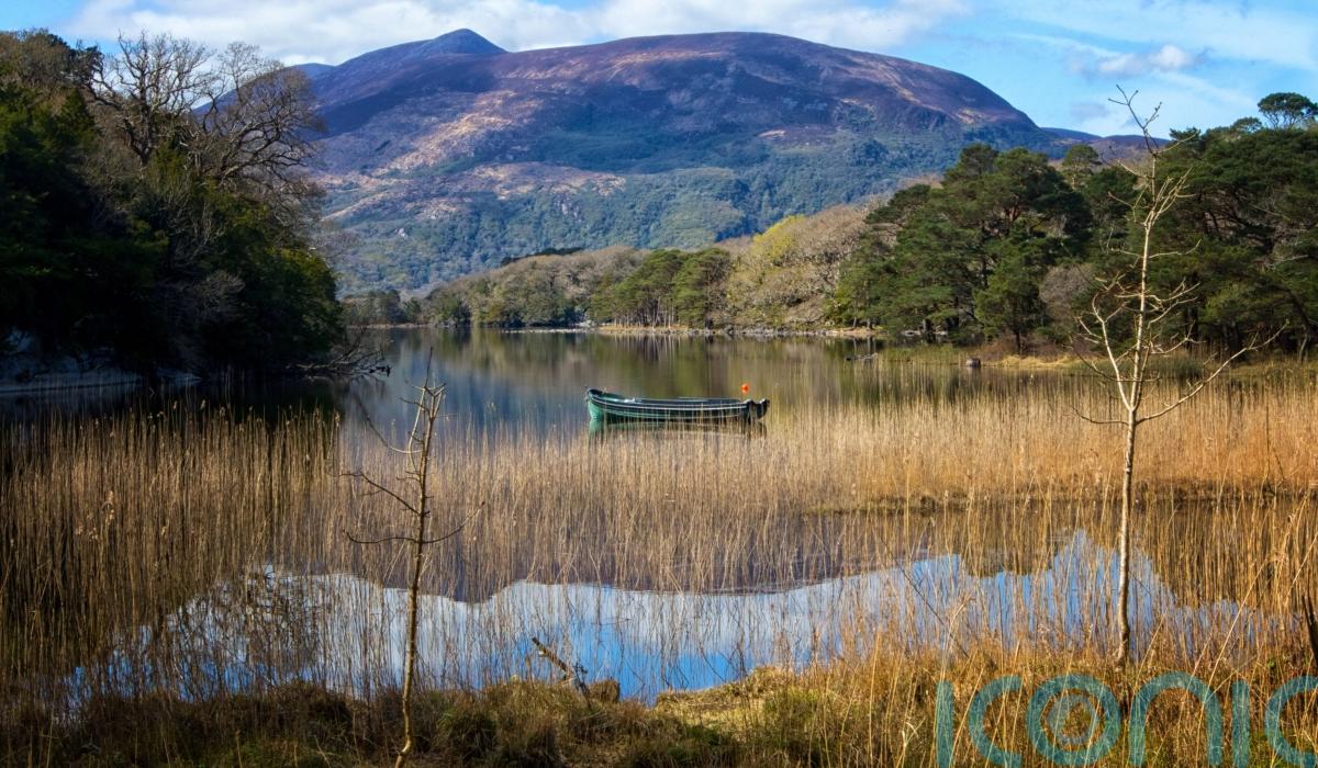 The best autumn walks for exploring the Emerald Isle this season ...
