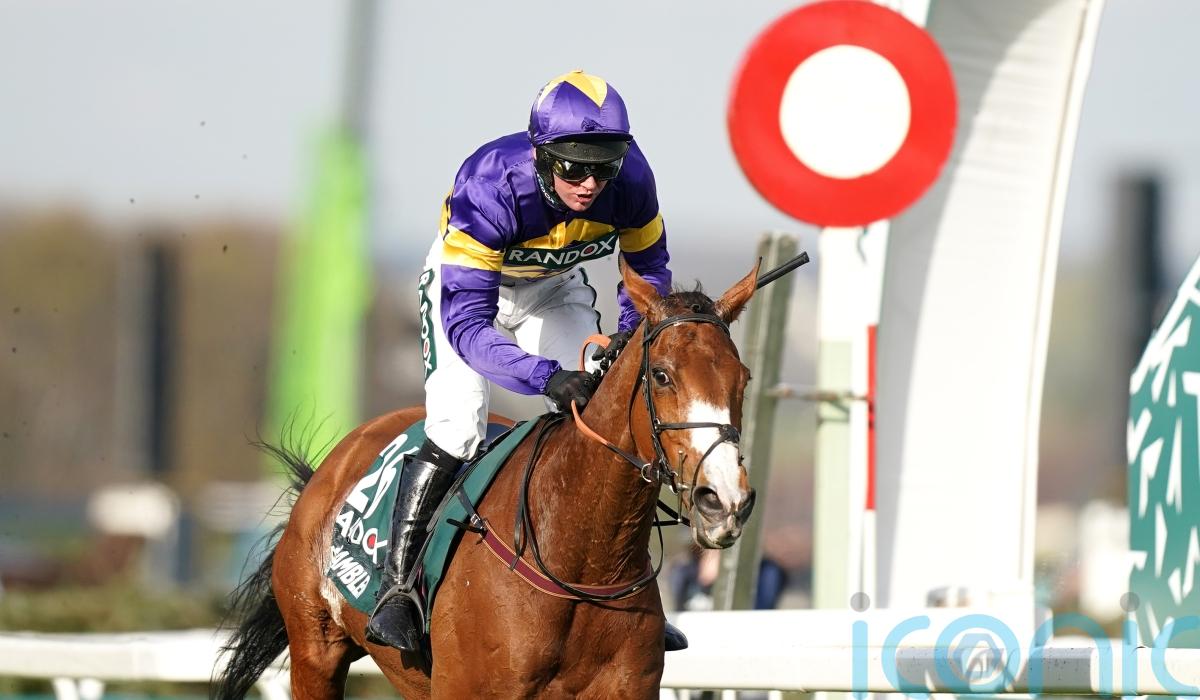 Corach Rambler to make Kelso comeback - Limerick Live