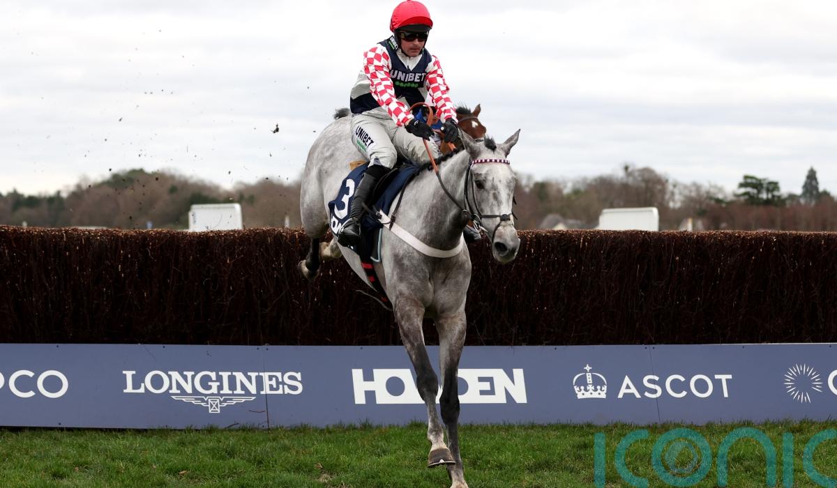 Excell-ent result for exciting Henderson prospect at Ascot - Limerick Live