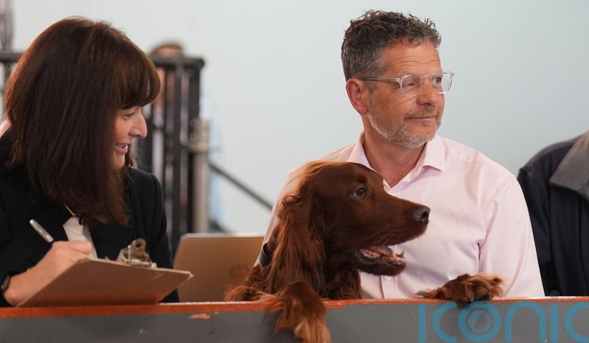 Race to become Ireland’s first directly-elected mayor down to final ...