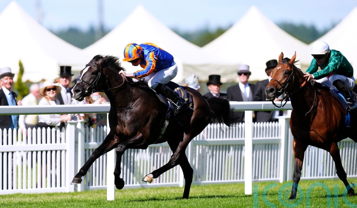 Auguste Rodin now ready to exorcise King George demons - Limerick Live