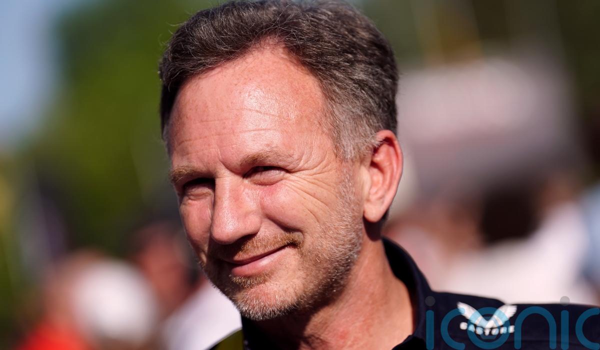 Christian Horner says Red Bull up for the fight of defending world ...