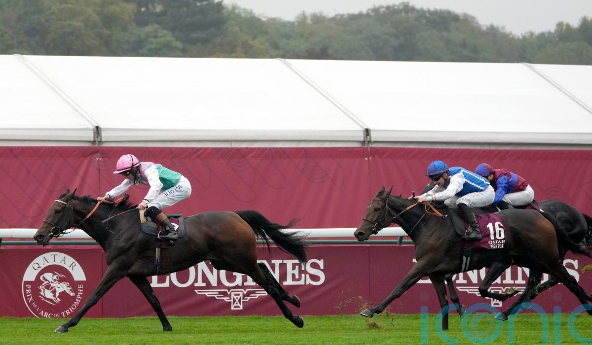 Bluestocking is Arc angel for Beckett in Paris - Limerick Live