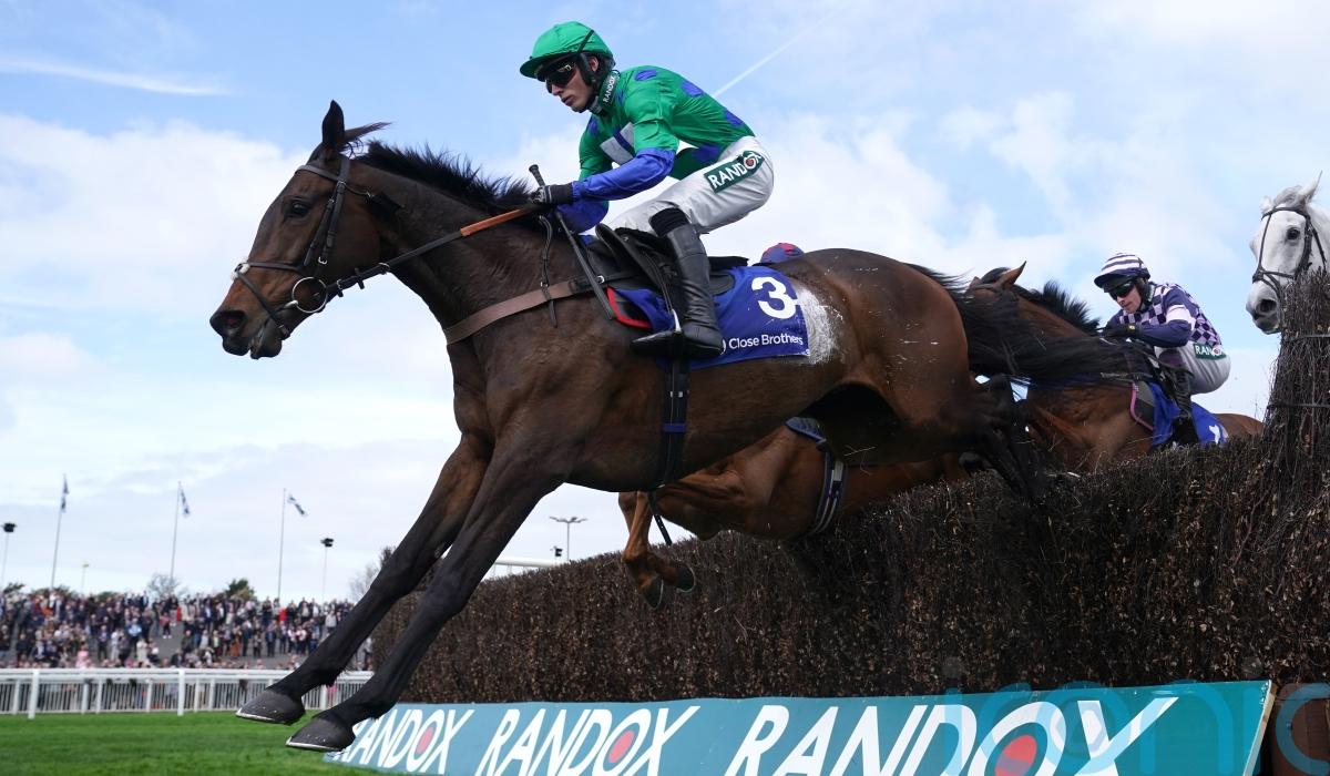 Ginny’s Destiny favourite for Paddy Power Gold Cup glory - Limerick Live
