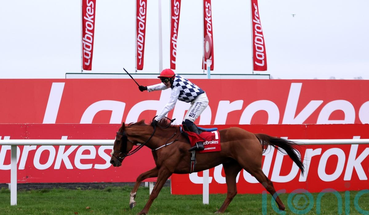 Banbridge team considering plans for King George ‘superstar’ - Limerick ...