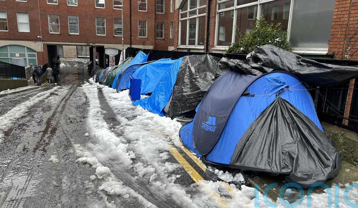 55,000 homes needed each year, homelessness groups say - Limerick Live