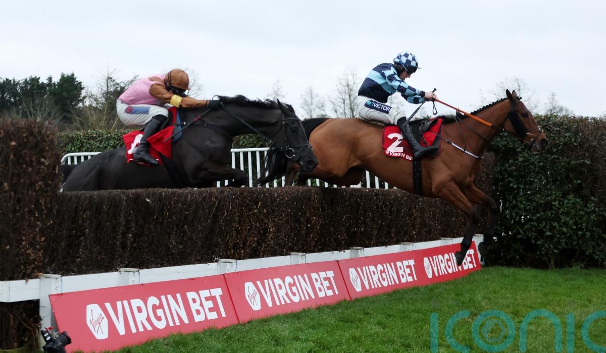 Gunsight Ridge returns to form with gutsy Sandown success - Limerick Live