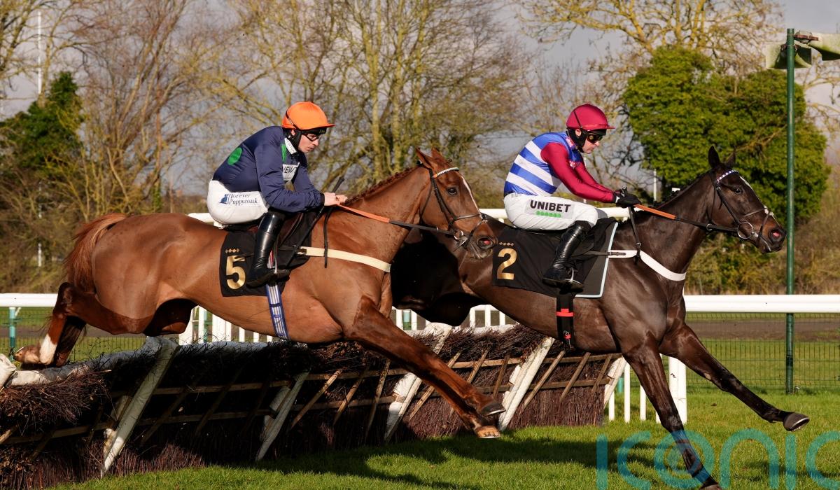 Califet En Vol boosts The New Lion with Huntingdon success - Limerick Live