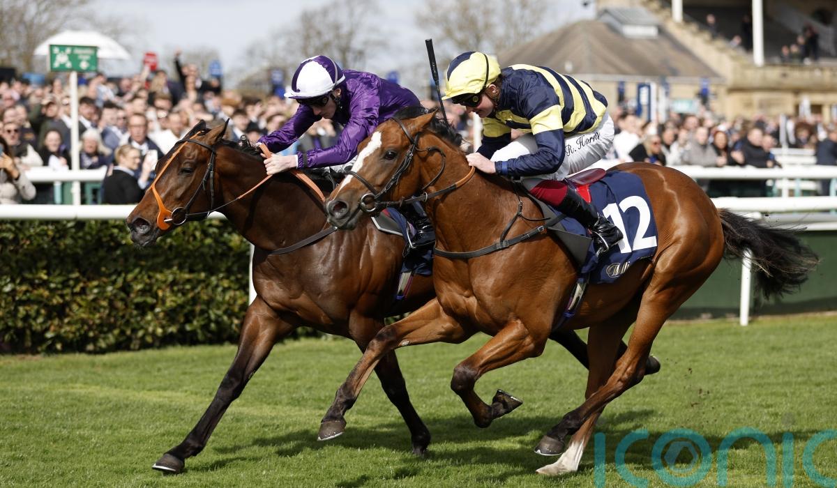 Norman’s Cay edges victory in Brocklesby battle - Limerick Live