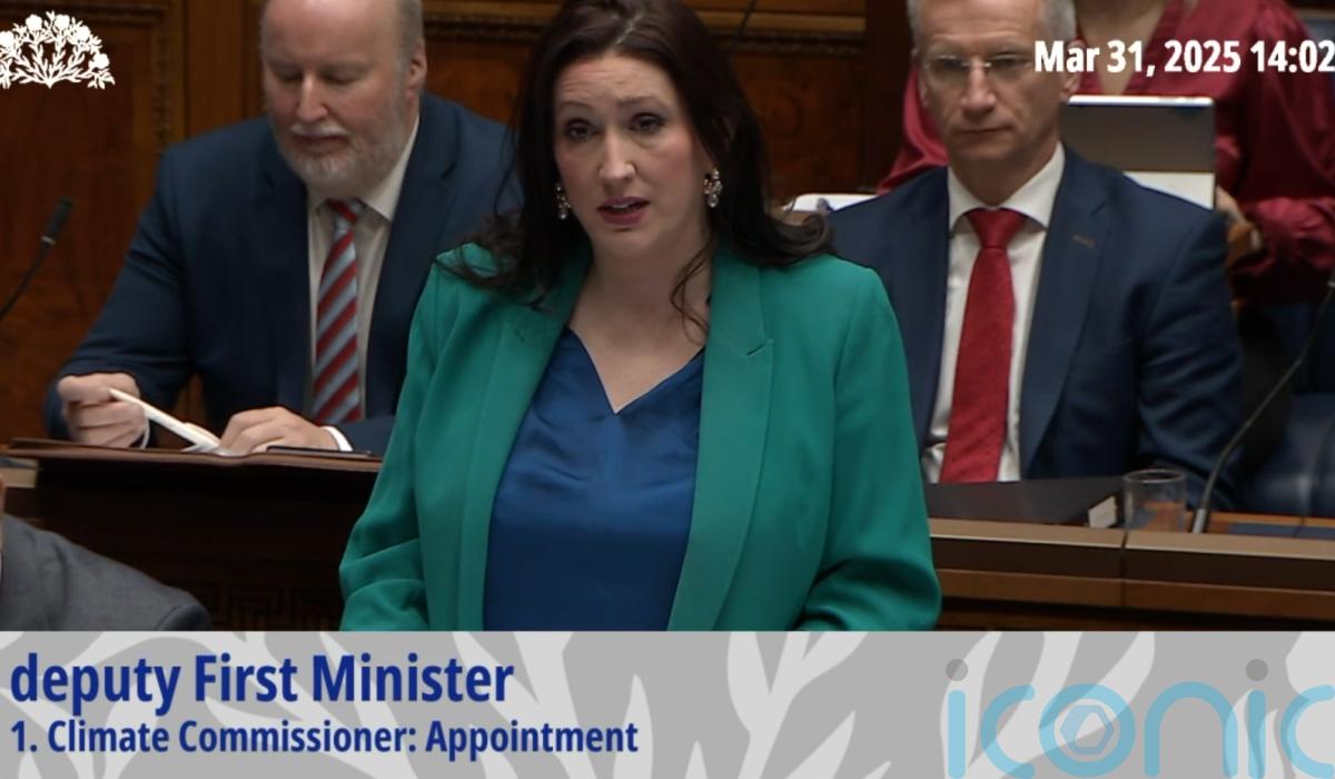 Climate commissioner to be appointed despite ‘no need’ – deputy First ...