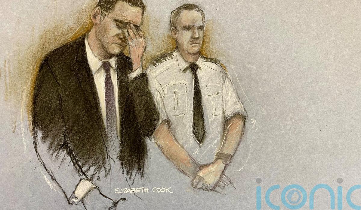 Driver sobs as he pleads guilty to Liverpool parade crash charges ...