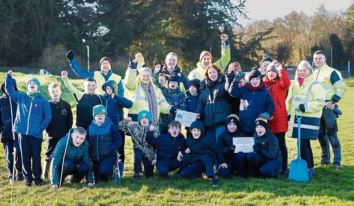 Limerick pupils get hands dirty planting trees at wastewater treatment ...