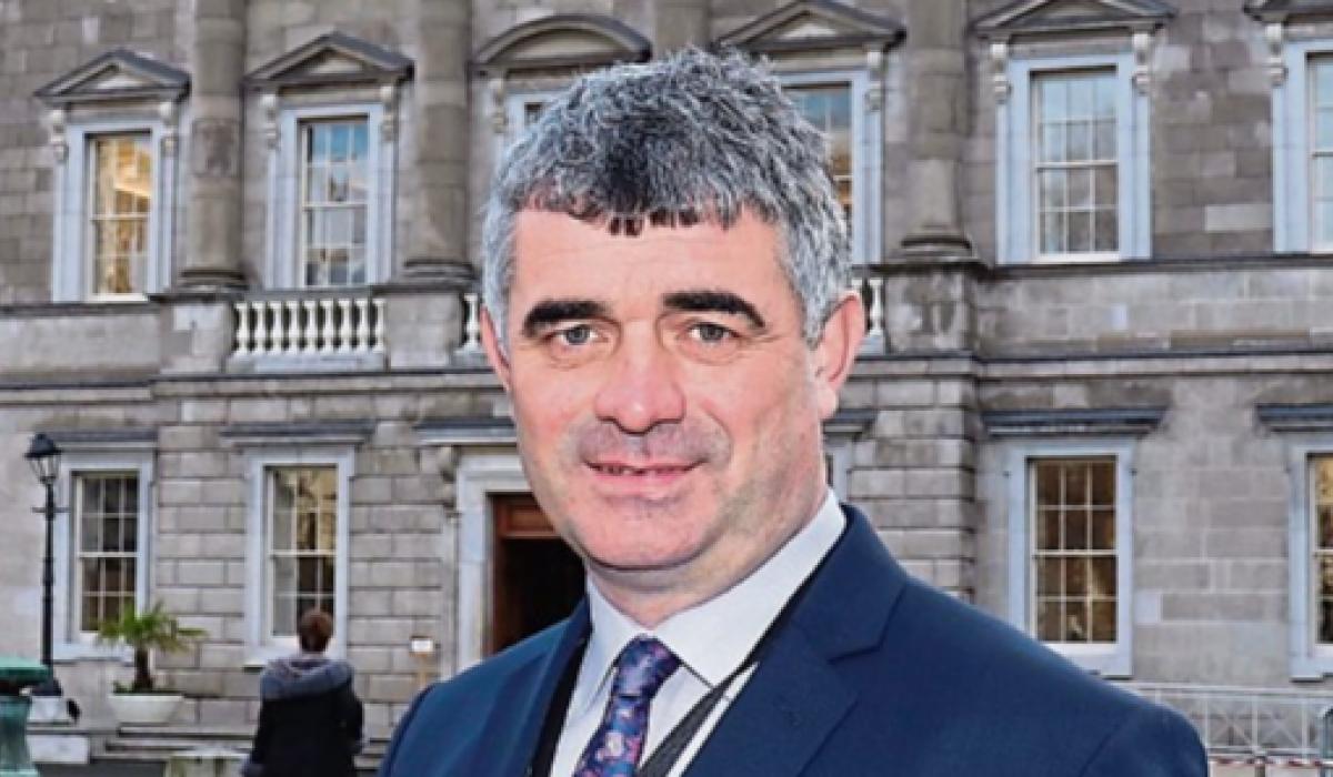 Limerick TD ‘received support from nationals and non-nationals’ after ...