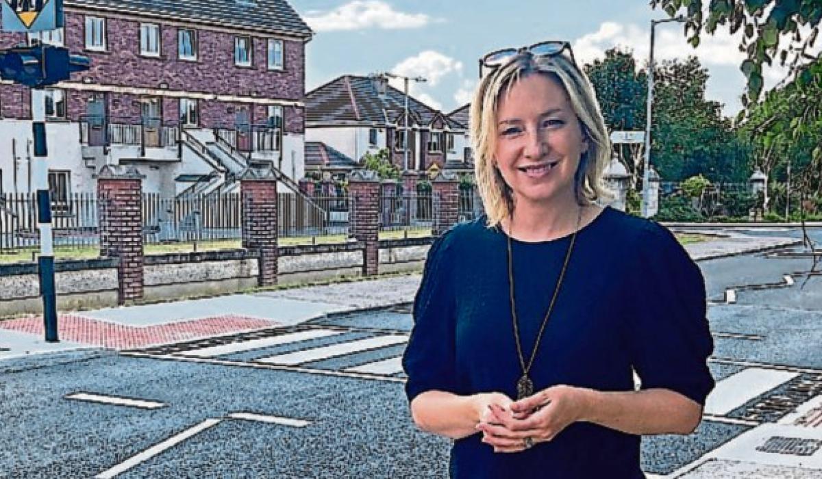 Limerick City and County Council issues date for public consultation ...