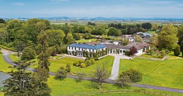 County Limerick stud farm continues to attract interest of ...