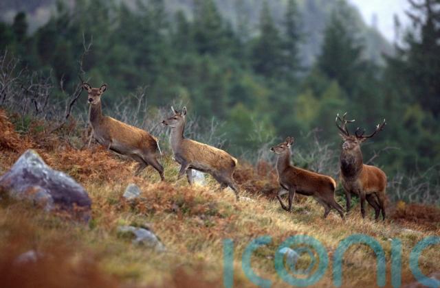 The best autumn walks for exploring the Emerald Isle this season ...