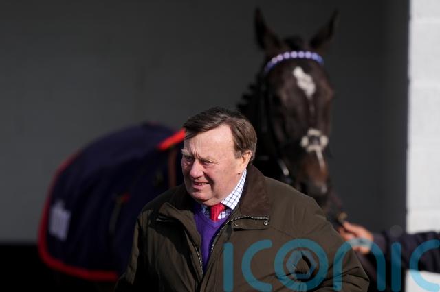 Califet En Vol boosts The New Lion with Huntingdon success - Limerick Live