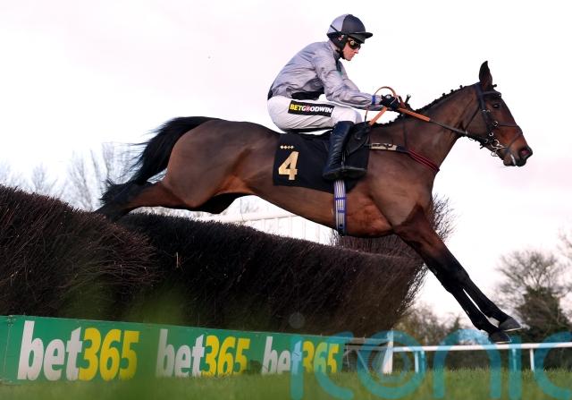 Califet En Vol boosts The New Lion with Huntingdon success - Limerick Live