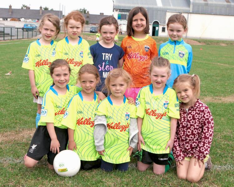 SLIDESHOW: Ballingarry GAA Cúl Camp - Photo 1 of 13 - Limerick Leader