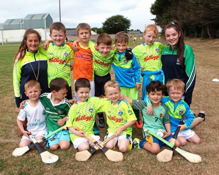 SLIDESHOW: Ballingarry GAA Cúl Camp - Photo 1 of 13 - Limerick Leader
