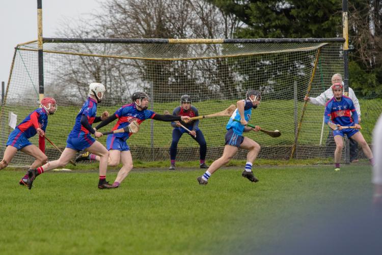 SLIDESHOW: Late comeback not enough for Kilfinane's Scoil Pól in ...